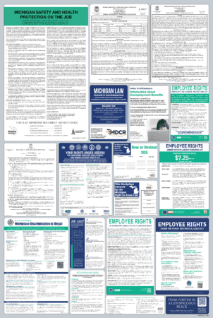 Publications Store - MI Chamber